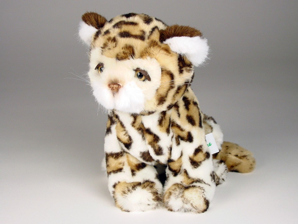 Leopard Cub 0420 - Leopards - Wild Animals